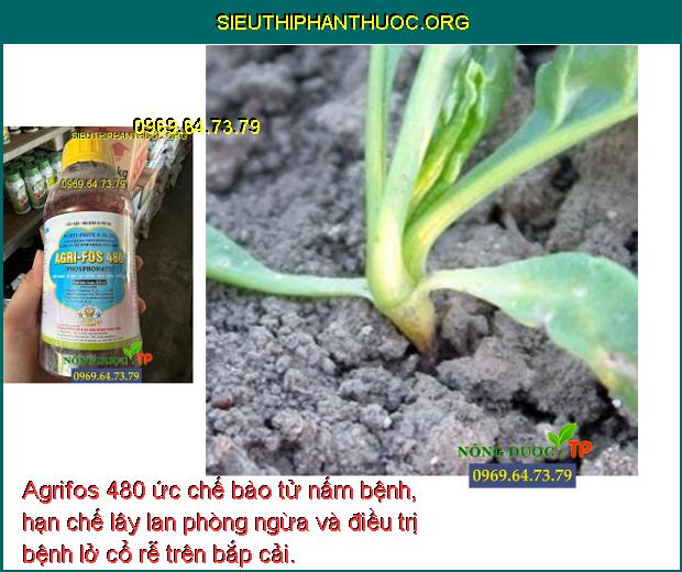 Agri-fos 480 Mỹ - Đặc Trị Vàng Lá Thối Rễ, Nứt Thân, Xì Mủ, Khô Cành ...