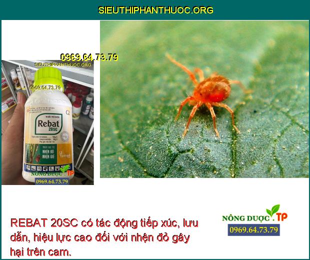 THUỐC TRỪ BỆNH REBAT 20SC - Đặc Trị Nhện Gié, Nhện Đỏ, Bọ Xít Muỗi ...