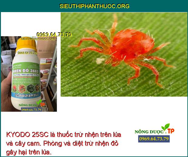 KYODO 25SC NHỆN ĐỎ 3662 - Đặc Trị Nhện, Mát Bông, Chống Rụng Trái Non ...