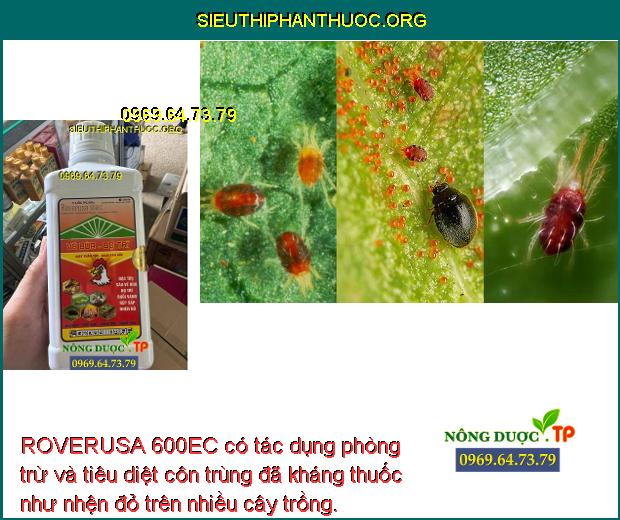 ROVERUSA 600EC - Đặc Trị Sâu Vẽ Bùa, Bọ Trĩ, Ruồi Vàng, Rệp Sáp, Nhện ...