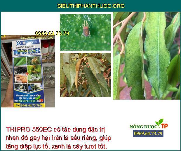 THUỐC TRỪ SÂU THIPRO 550EC - Đặc Trị Rệp Sáp, Mọt Đục Cành, Sâu Đục Quả ...