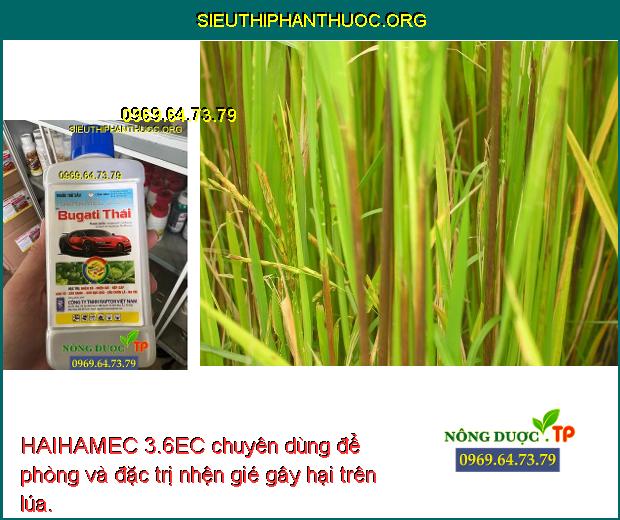HAIHAMEC 3.6EC BUGATI THÁI - Đặc Trị Nhện Đỏ, Nhện Gié, Rệp Sáp, Sâu Tơ ...
