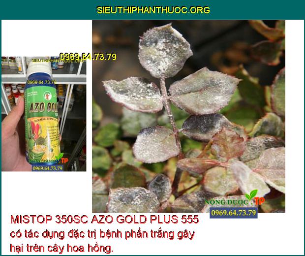 THUỐC TRỪ BỆNH MISTOP 350SC AZO GOLD PLUS 555 - Đặc Trị Thán Thư, Phấn ...
