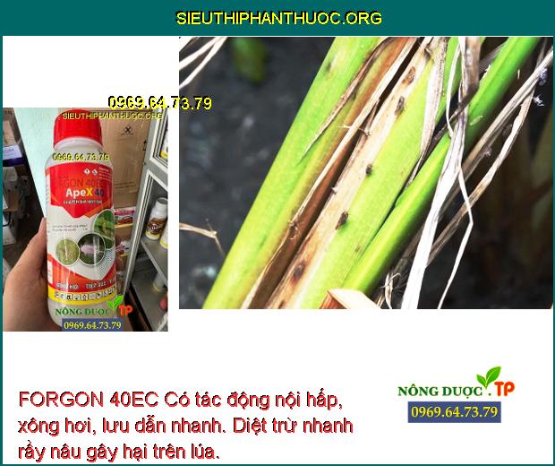 FORGON 40EC APEX 40 - Đặc Trị Sâu Cuốn Lá Trên Lúa, Rệp Sáp, Ruồi Vàng ...