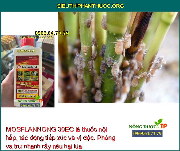 MOSFLANNONG 30EC - Đặc Trị Bọ Trĩ, Sâu Cuốn Lá, Rầy Nâu Hại Lúa - SIÊU ...