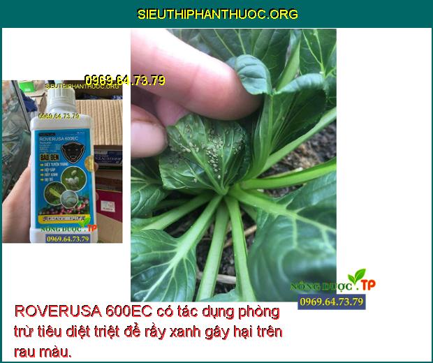ROVERUSA 600EC BÁO ĐEN - Đặc Trị Tuyến Trùng, Rệp Sáp, Rầy Xanh, Bọ Trĩ ...