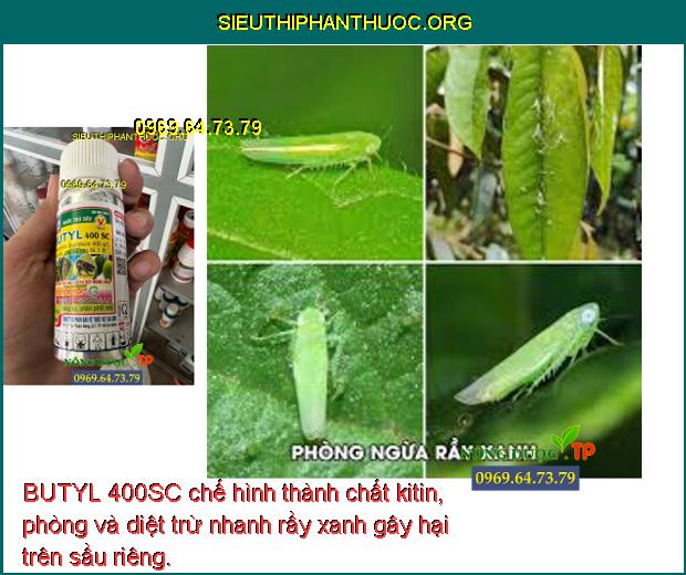 THUỐC TRỪ SÂU BUTYL 400SC - Đặc Trị Rầy Nâu Hại Lúa, Rầy Bông Xoài ...