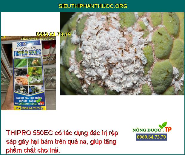 THUỐC TRỪ SÂU THIPRO 550EC - Đặc Trị Rệp Sáp, Mọt Đục Cành, Sâu Đục Quả ...