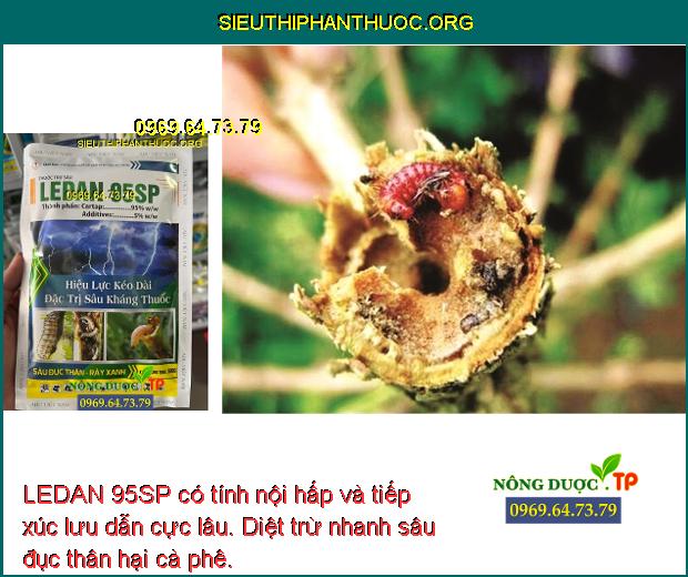 THUỐC TRỪ SÂU LEDAN 95SP - Đặc Trị Sâu Đục Thân Trên Lúa - SIÊU THỊ ...