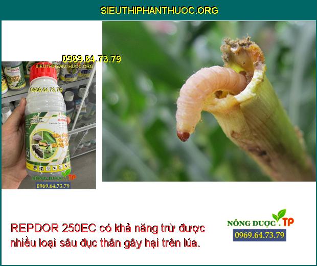 THUỐC TRỪ SÂU REPDOR 250EC - Đặc Trị Sâu Tơ, Sâu Xanh, Bọ Cánh Tơ, Nhện ...