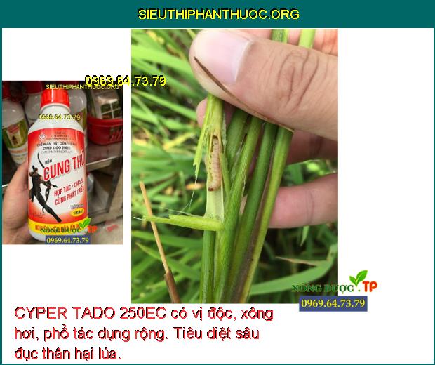 THUỐC TRỪ SÂU CYPER TADO 250EC CUNG THỦ -Đặc Trị Sâu Đục Thân, Sâu Cuốn ...