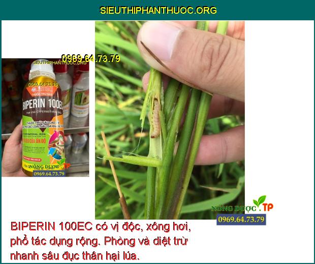 THUỐC TRỪ SÂU BIPERIN 100EC - Đặc Trị Các Loại Sâu Đã Kháng Thuốc Như ...