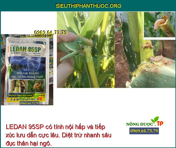 THUỐC TRỪ SÂU LEDAN 95SP - Đặc Trị Sâu Đục Thân Trên Lúa - SIÊU THỊ ...