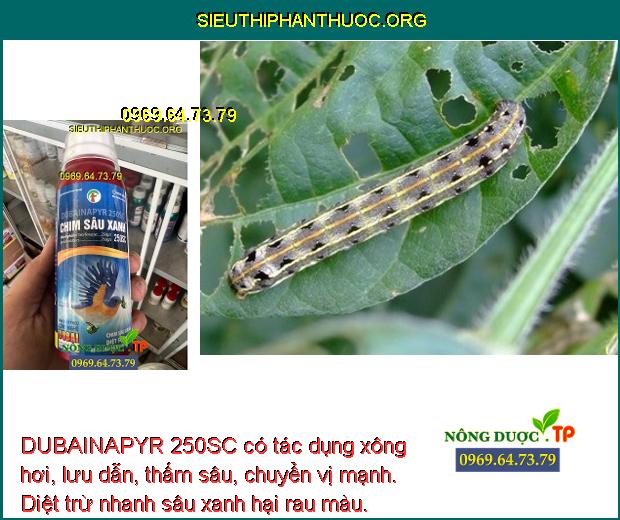DUBAINAPYR 250SC CHIM SÂU XANH - Đặc Trị Sâu Cuốn Lá, Sâu Phao, Muỗi ...