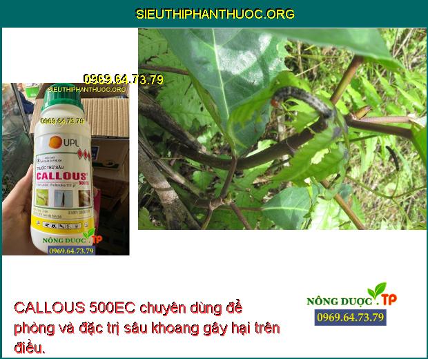 THUỐC TRỪ SÂU CALLOUS 500EC - Đặc Trị Sâu Khoang, Bọ Trĩ, Sâu Đục Thân ...