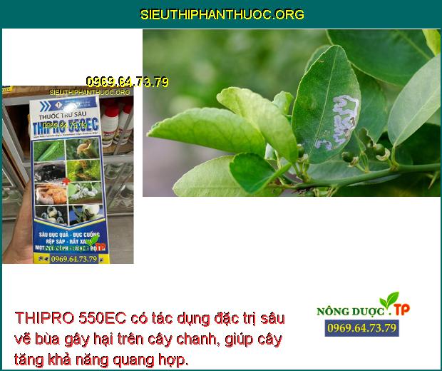 THUỐC TRỪ SÂU THIPRO 550EC - Đặc Trị Rệp Sáp, Mọt Đục Cành, Sâu Đục Quả ...
