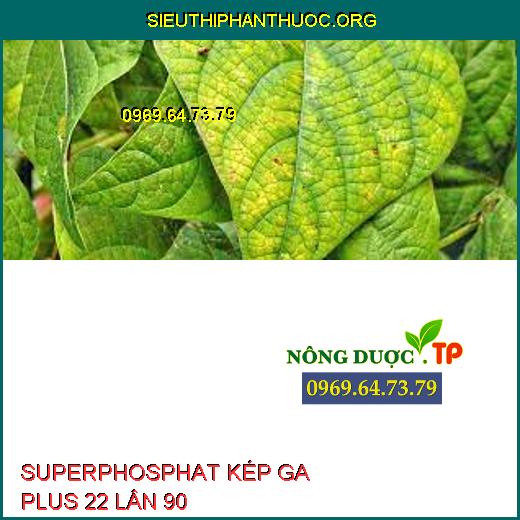 PHÂN SUPERPHOSPHAT KÉP GA PLUS 22 LÂN 90 - Kích Vọt Hoa, Kích Thích Mầm ...