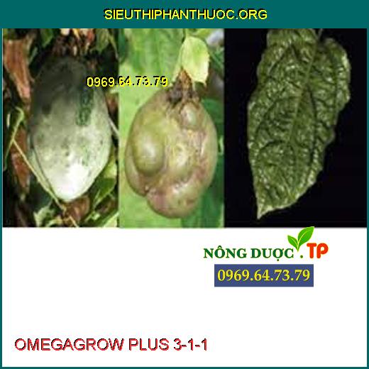 OMEGAGROW PLUS 3-1-1 THỂ TÍCH: 500ML - Đâm Chồi, Phát Đọt, Phát Rễ, Lá ...