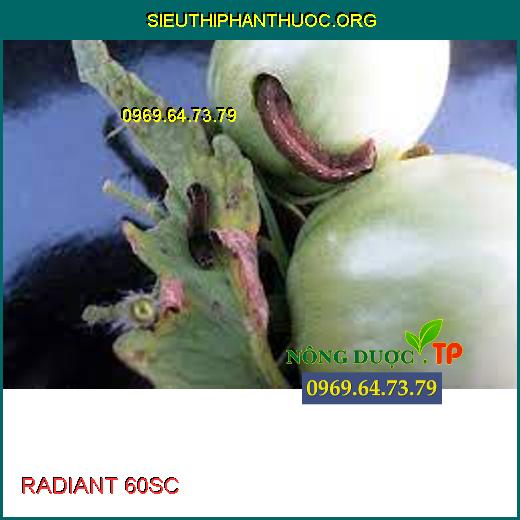RADIANT 60SC - Đặc Trị Bọ Trĩ Và Sâu, Rầy Khó Trị Trên Cây Trồng - SIÊU ...