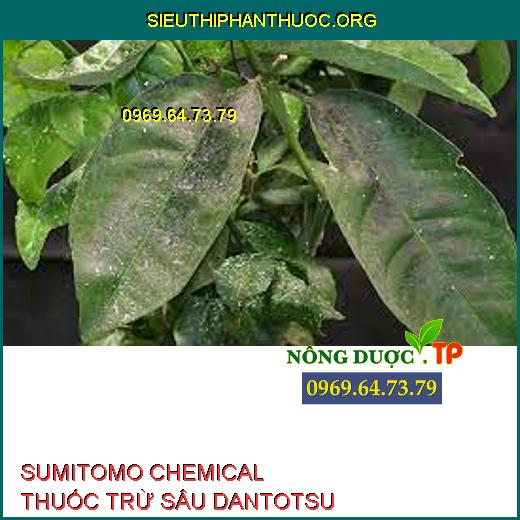 SUMITOMO CHEMICAL THUỐC TRỪ SÂU DANTOTSU 50WG - Đặc Trị Sâu Dòi, Các ...