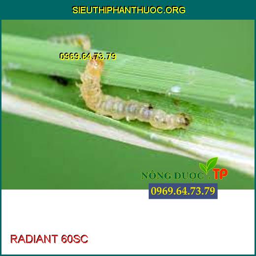 RADIANT 60SC - Đặc Trị Bọ Trĩ Và Sâu, Rầy Khó Trị Trên Cây Trồng - SIÊU ...
