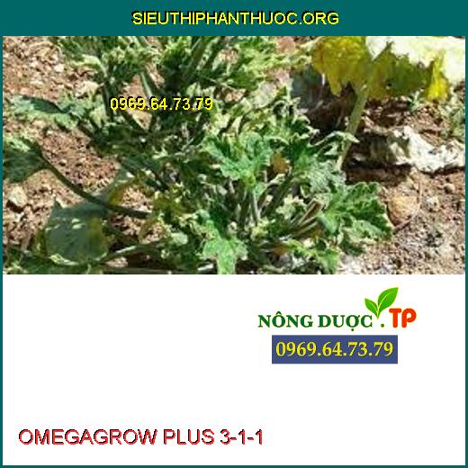OMEGAGROW PLUS 3-1-1 THỂ TÍCH: 500ML - Đâm Chồi, Phát Đọt, Phát Rễ, Lá ...