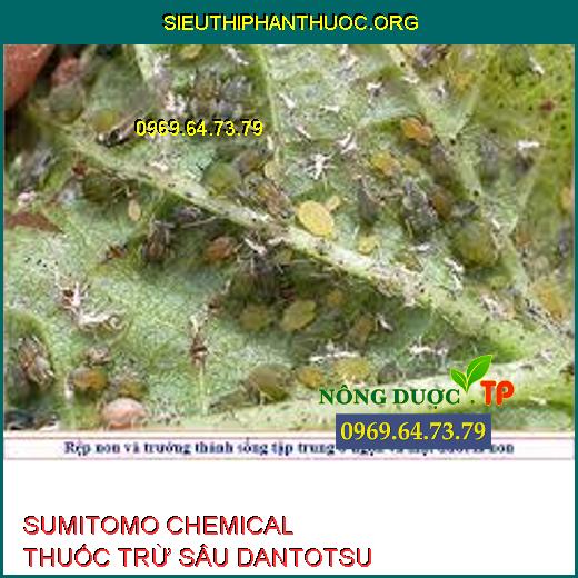 SUMITOMO CHEMICAL THUỐC TRỪ SÂU DANTOTSU 50WG - Đặc Trị Sâu Dòi, Các ...