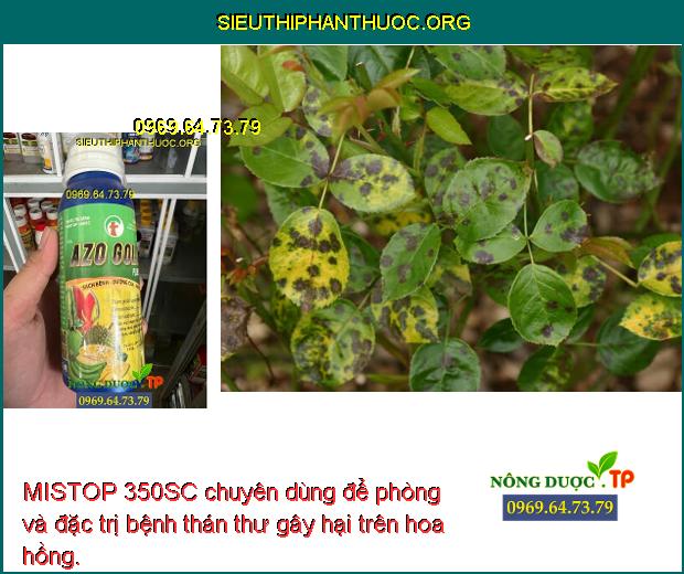 THUỐC TRỪ BỆNH MISTOP 350SC AZO GOLD PLUS 555 - Đặc Trị Thán Thư, Phấn ...
