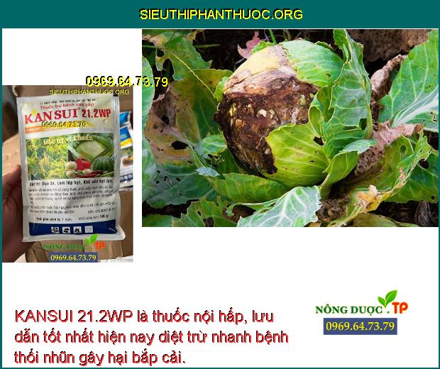 THUỐC TRỪ BỆNH KANSUI 21.2WP - Đặc Trị Đạo Ôn, Lem Lép Hạt, Khô Vằn Hại ...