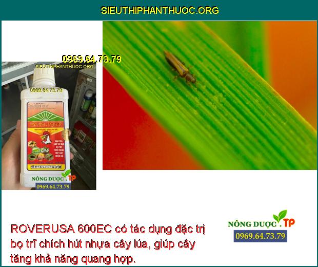 ROVERUSA 600EC - Đặc Trị Sâu Vẽ Bùa, Bọ Trĩ, Ruồi Vàng, Rệp Sáp, Nhện ...