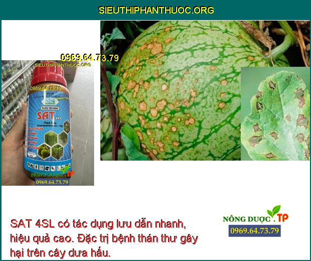 THUỐC TRỪ BỆNH SAT 4SL- Đặc Trị Bệnh Nấm Bệnh, Vi Khuẩn, Sương Mai ...