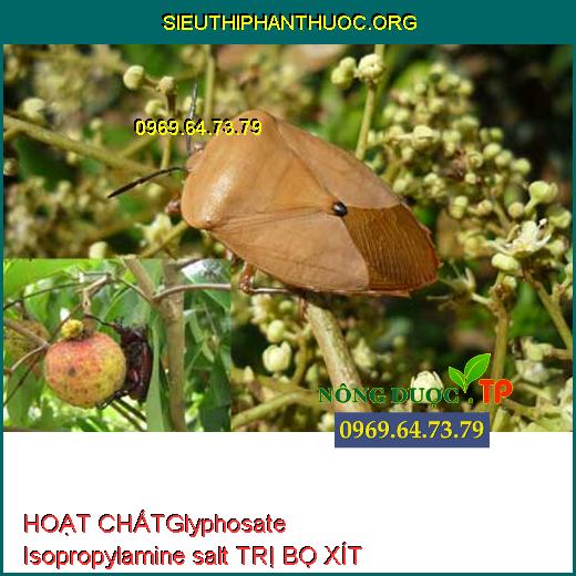Top 4 Những loại thuốc có chứa hoạt chất Glyphosate Isopropylamine salt ...