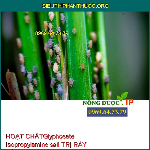 Top 4 Những loại thuốc có chứa hoạt chất Glyphosate Isopropylamine salt ...