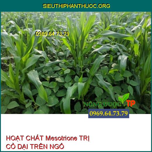Top 4 Những loại thuốc có chứa hoạt chất Mesotrione . - SIÊU THỊ PHÂN THUỐC