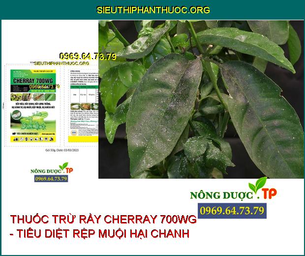 THUỐC TRỪ RẦY CHERRAY 700WG-TIÊU DIỆT RẦY NÂU,RẦY XANH,BỌ CHÍCH HÚT ...