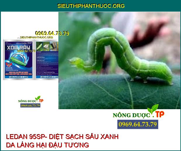 LEDAN 95SP- DIỆT SẠCH RẦY, SÂU MIỆNG NHAI HIỆU QUẢ CAO - SIÊU THỊ PHÂN ...