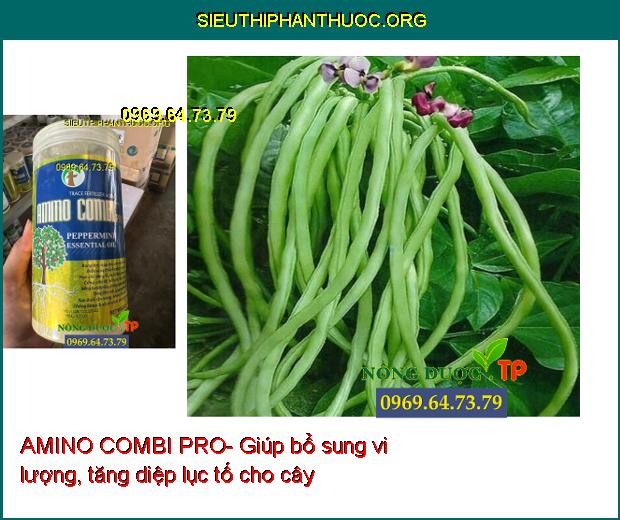 AMINO COMBI PRO- Bung Đọt- Đâm Chồi- Hạn Chế Sâu Bệnh- Tăng Đậu Trái ...