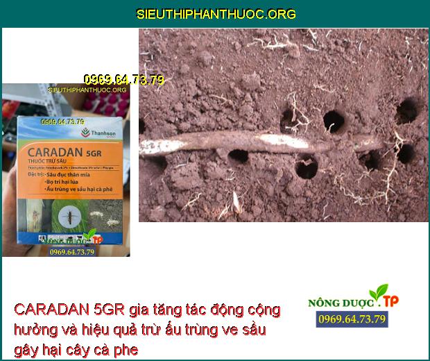 CARADAN 5GR- Đặc Trị Sâu Đục Thân- Bọ Trĩ Hại Lúa- Ấu Trùng Ve Sầu ...