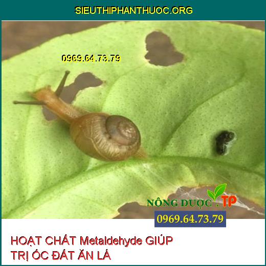 Top 5 Những loại thuốc có chứa hoạt chất Metaldehyde . P.1 - SIÊU THỊ ...