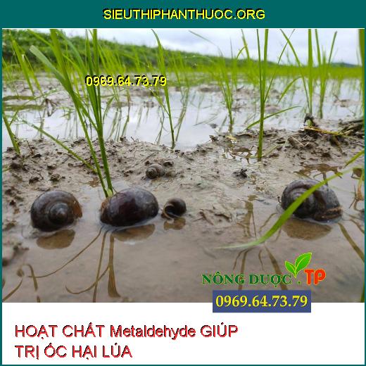 Top 5 Những loại thuốc có chứa hoạt chất Metaldehyde . P.1 - SIÊU THỊ ...
