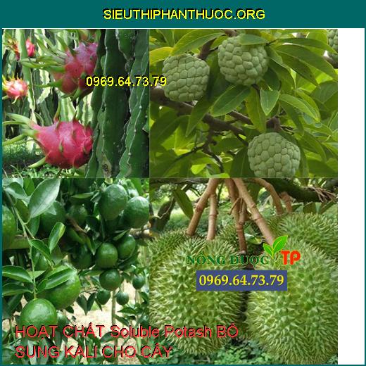 Top 5 Những loại thuốc có chứa hoạt chất Soluble Potash . P.1 - SIÊU ...