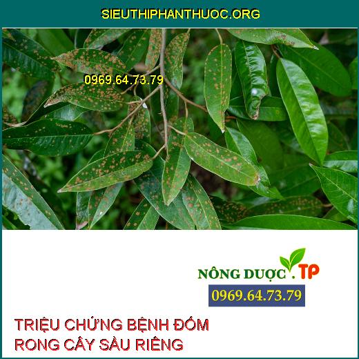 Top 5 Thuốc đặc trị bệnh đốm rong cho cây trồng tốt nhất P.1 - SIÊU THỊ ...