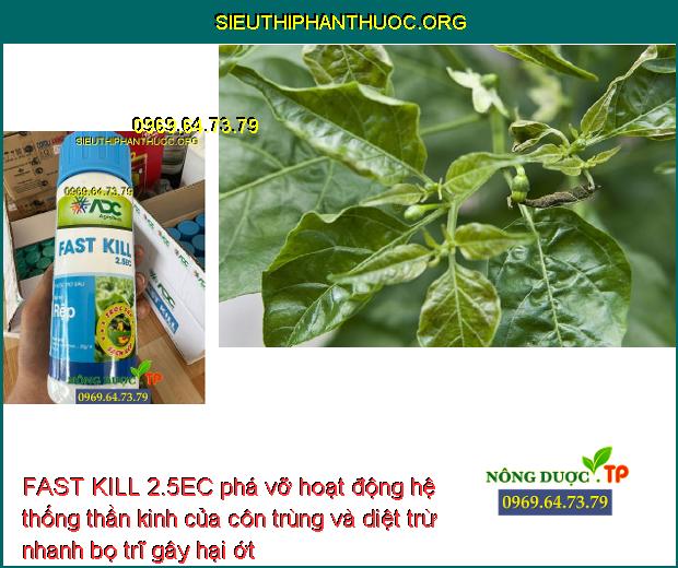 FAST KILL 2.5EC- Đặc Trị Rệp Sáp- Rệp Muội- Rầy Nâu- Sâu Cuốn Lá ...