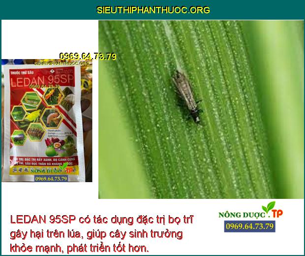 LEDAN 95SP- Đặc Trị Rầy Xanh- Bọ Cánh Cứng- Bọ Trĩ- Sâu Đục Thân Đã ...