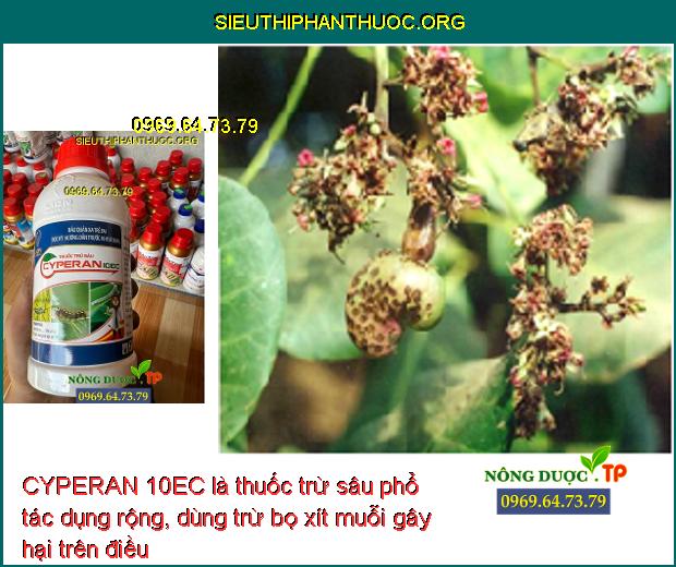 CYPERAN 10EC- Đặc Trị Sâu Róm- Bọ Xít Muỗi- Sâu Cuốn Lá- Bọ Trĩ. - SIÊU ...