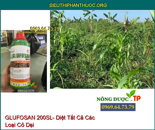 GLUFOSAN 200SL- Diệt Tất Cả Các Loại Cỏ Dại- Cỏ Lá Rộng- Cỏ Lá Hẹp- Cỏ ...