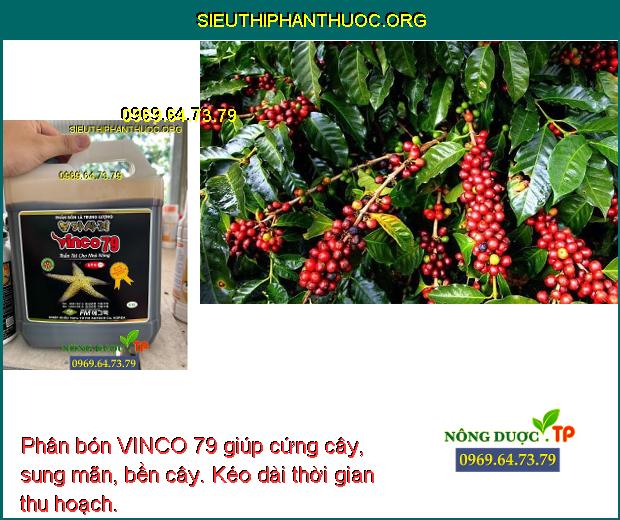 VINCO 79- Kích Ra Rễ- Bung Chồi- Phát Hoa- Tăng Đậu Trái- Hạn Chế Rụng ...