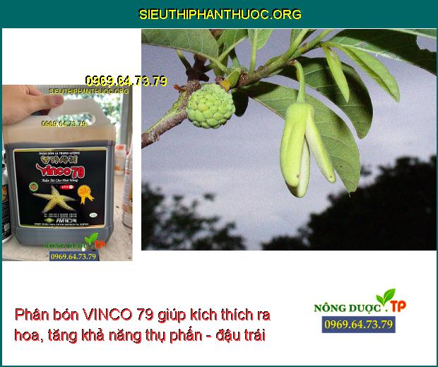 VINCO 79- Kích Ra Rễ- Bung Chồi- Phát Hoa- Tăng Đậu Trái- Hạn Chế Rụng ...