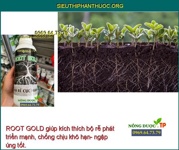 ROOT GOLD- Kích Rễ Mạnh- Chống Chịu Khô Hạn- Cải Tạo Đất- Tăng Đề Kháng ...