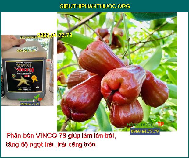 VINCO 79- Kích Ra Rễ- Bung Chồi- Phát Hoa- Tăng Đậu Trái- Hạn Chế Rụng ...